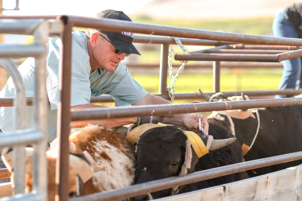 The Original Horn Wrap | Horn Wraps for Roping Cattle