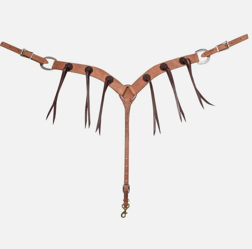 Martin 2" Harness With Rosettes And Strings