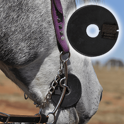 Roping Horse Bits | Frontier Trailers & Roping Supply